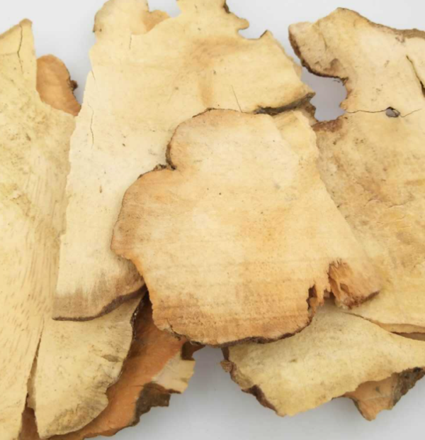 Rhizoma Smilacis Galbrae – Tu Fu Ling – 土茯苓