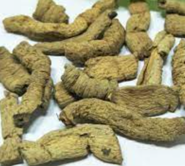 Morinda officinalis root, salt prepared – Ba Ji Tian (Yan) – 巴戟天（盐）