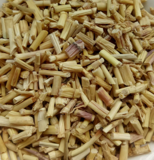 Rhizoma Imperatae Cylindricae – Bai Mao Gen – 白茅根