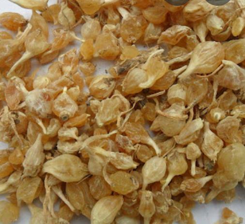 Bulbus Allii – Xie Bai – 薤白