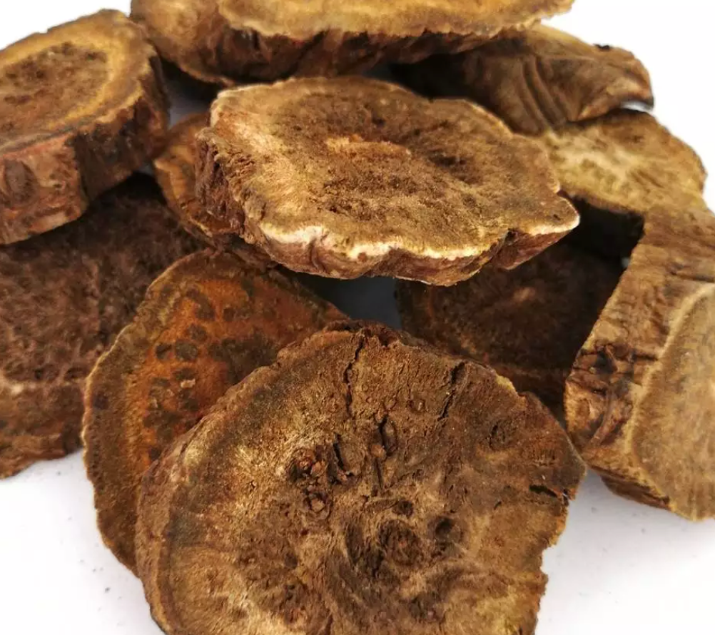 Rheum tanguticum root & rhizome, prepared – Da Huang (Jiu) – 大黄（酒）